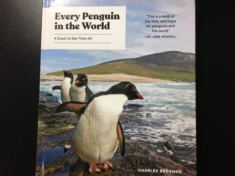 5 Leadership Lessons from Every Penguin in the World - Dr. Kathryn ...